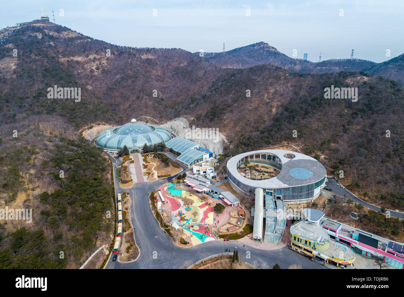 Dalian zoo hi-res stock photography and images - Alamy