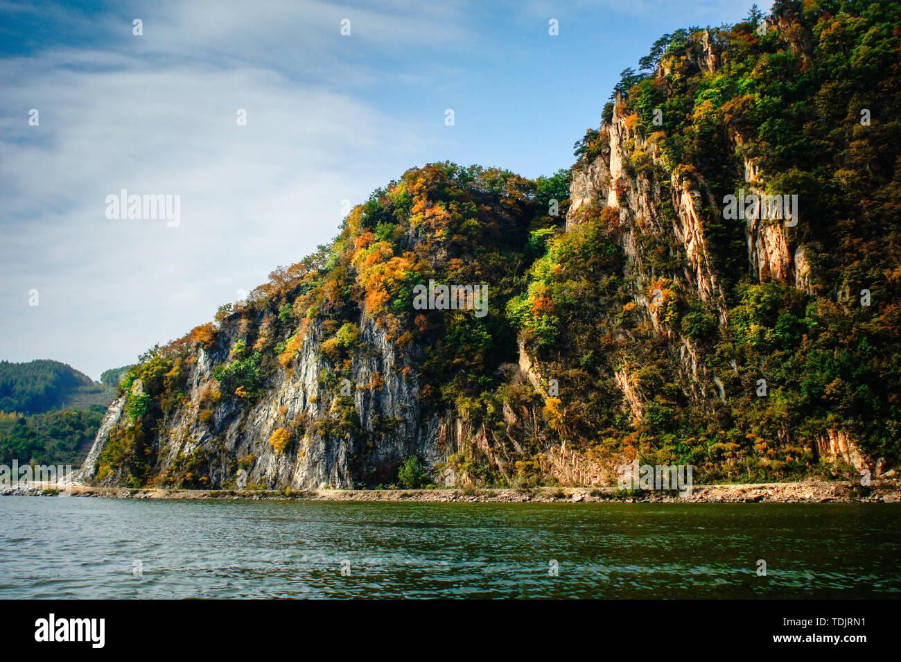 Pushi hi-res stock photography and images - Alamy