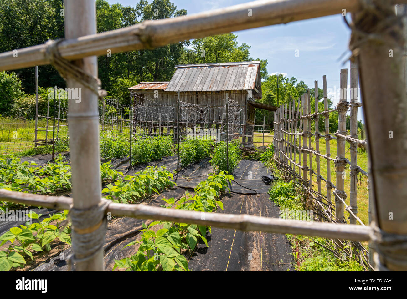 Perryville, Arkansas - The Thai House at Heifer Ranch, a 1,200-acre ...