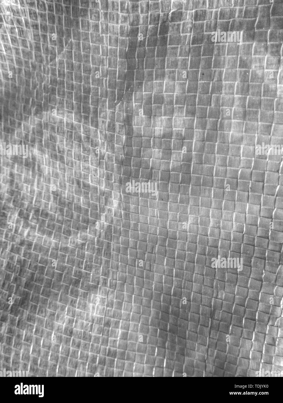 Snakeskin bag hi-res stock photography and images - Alamy