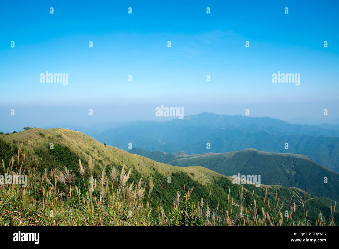 Alpine and lawns hi-res stock photography and images - Alamy