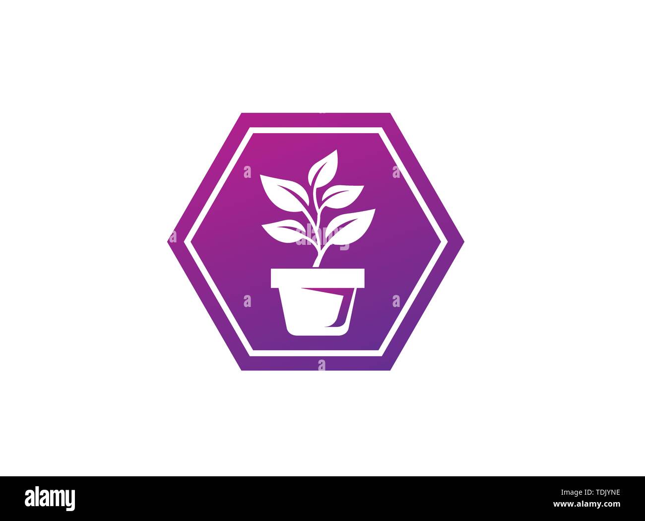 Plant in the Pot with some leaves for logo Design, illustration in a ...