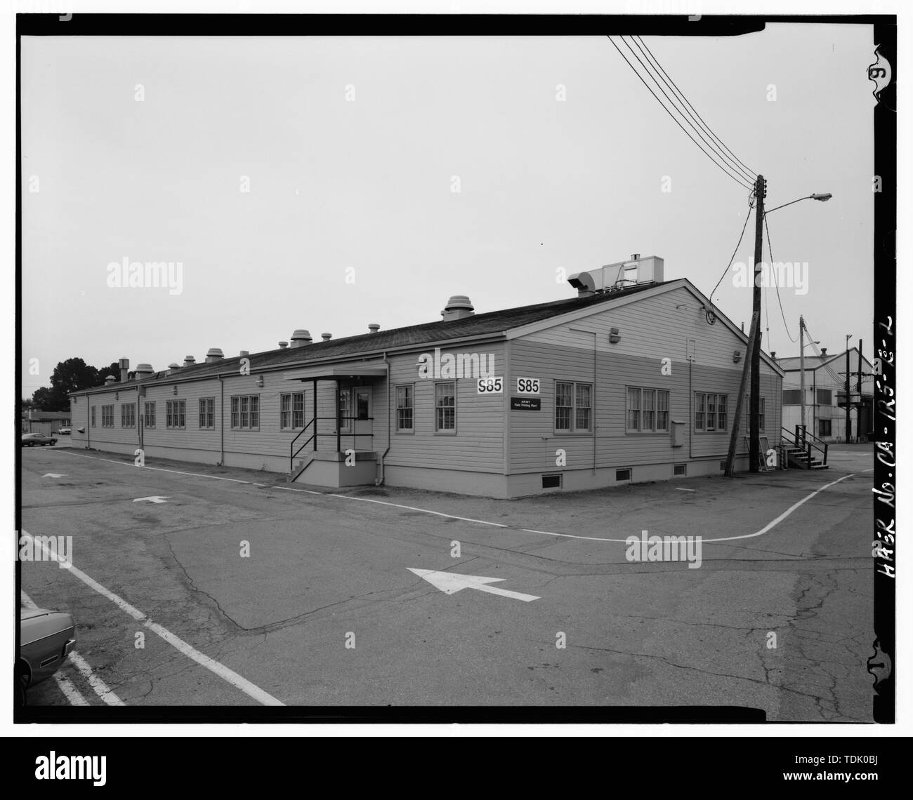 Base of plant hi-res stock photography and images - Alamy