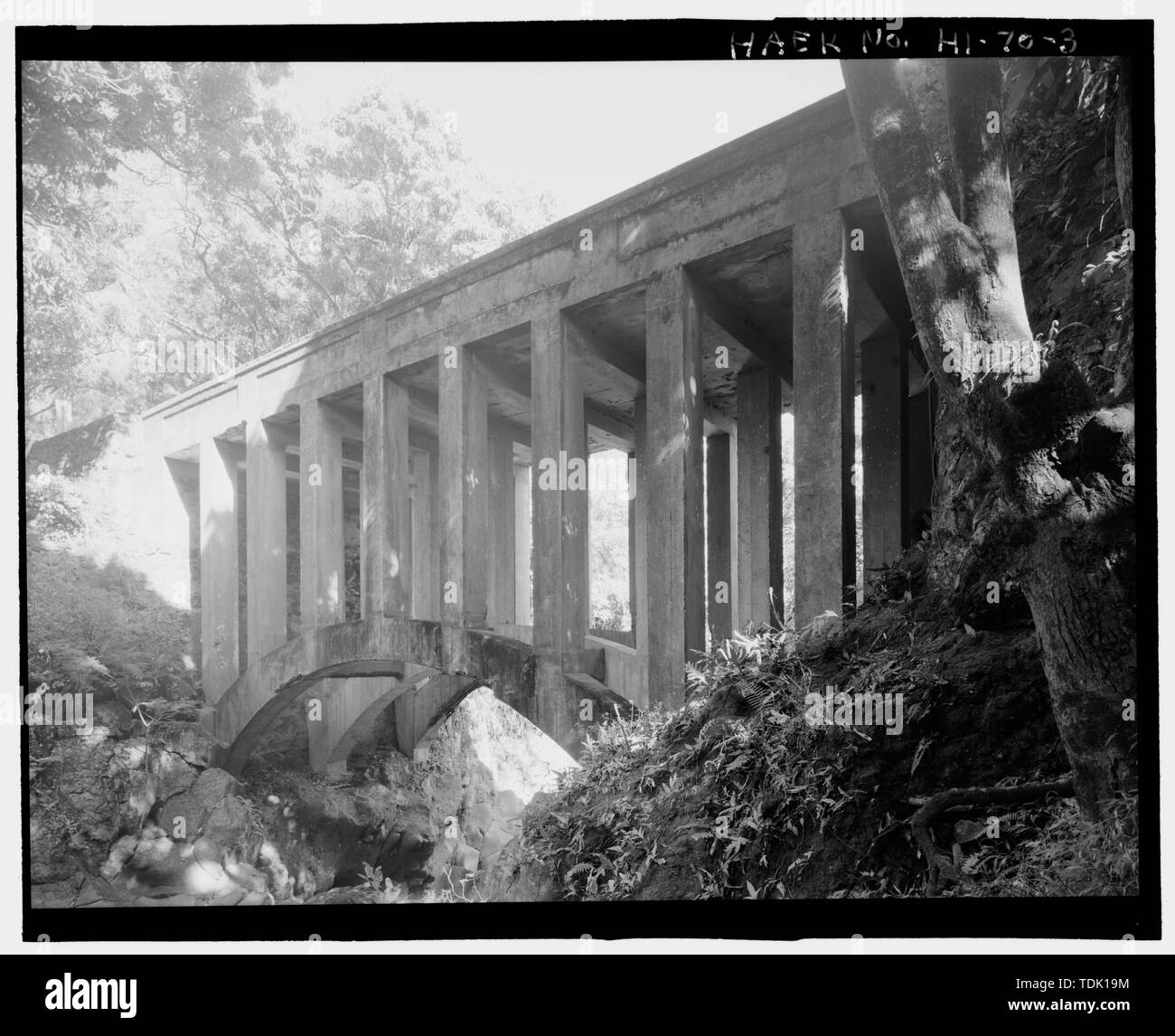 OBLIQUE VIEW OF UPSTREAM (NORTH) ELEVATION; LOOKING EAST. - Kaukau'ai ...