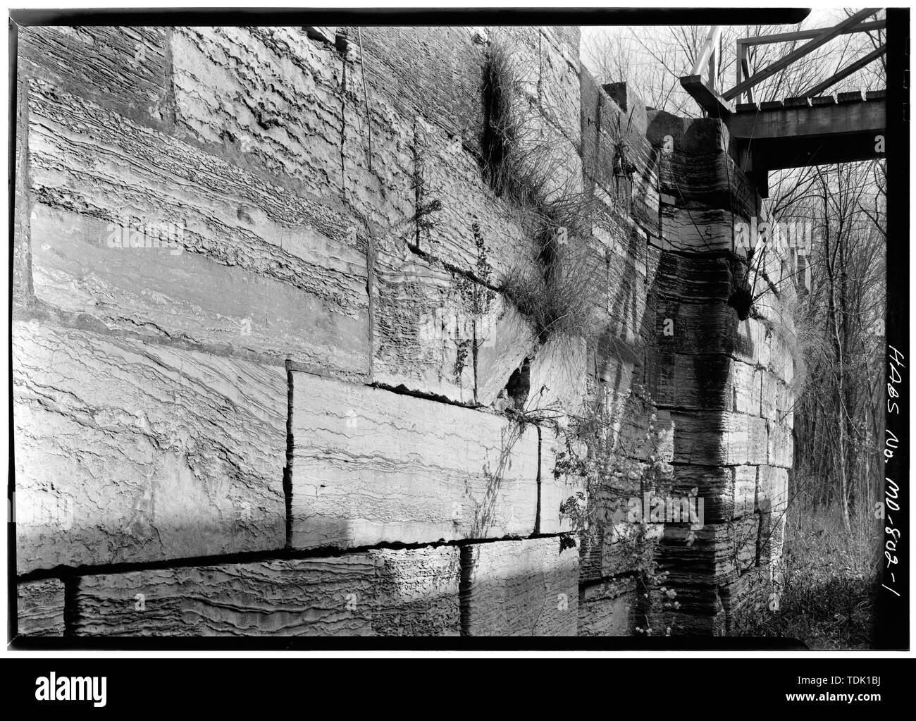 Jack ziegler hi-res stock photography and images - Alamy