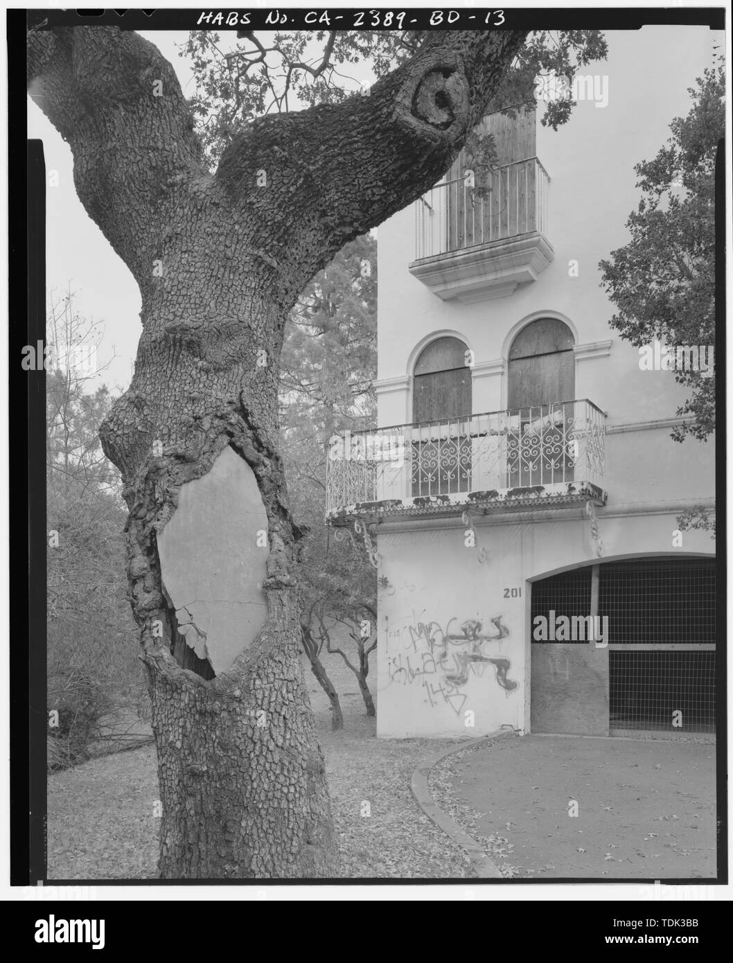 OLD OAK, AND BALCONY IRONWORK AT NORTHWEST CORNER - Hamilton Field ...