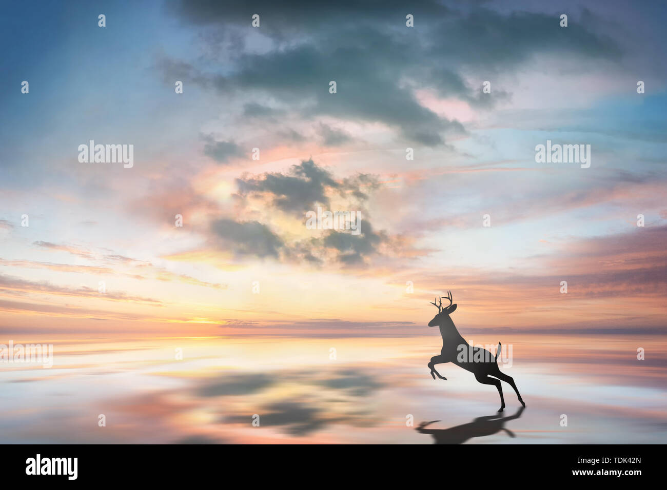 Beautiful nature with deer looking up Stock Photo - Alamy