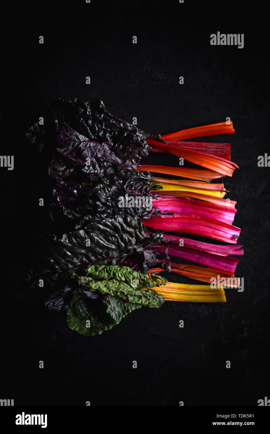 Multi coloured Swiss Chard Stock Photo - Alamy