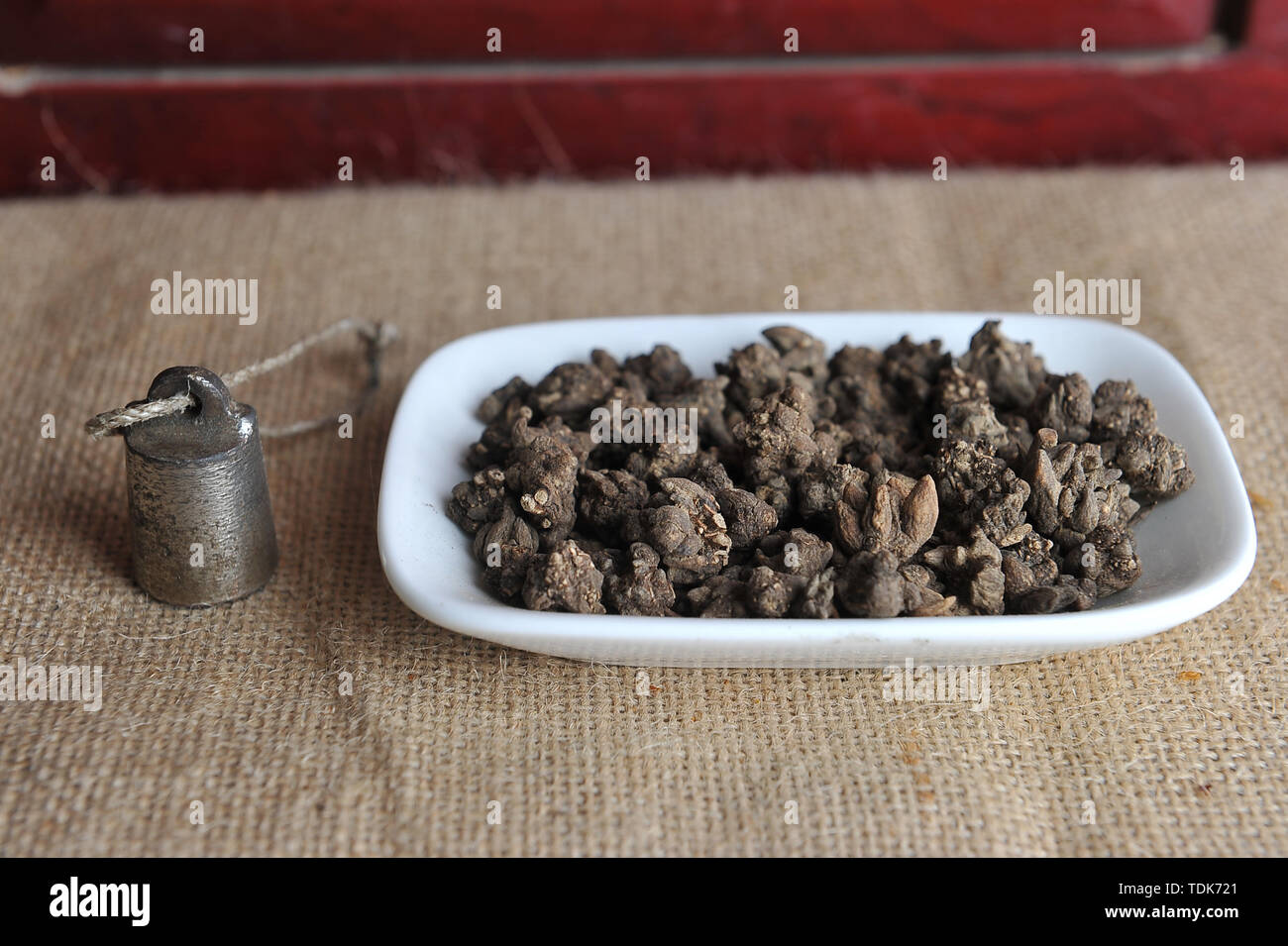 Cat claw hi-res stock photography and images - Alamy