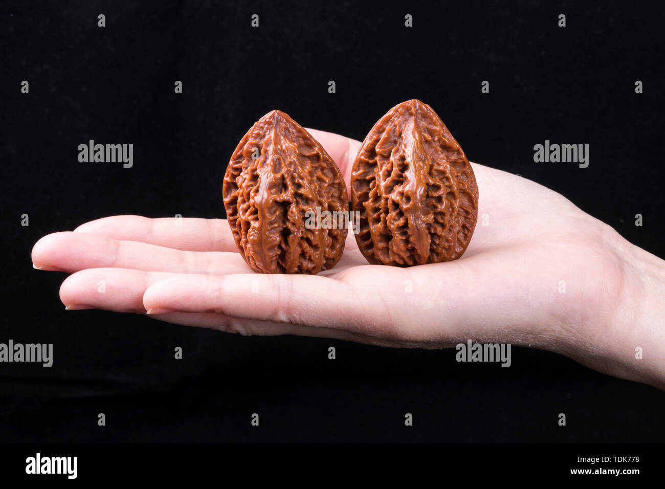 Lion head walnut hi-res stock photography and images - Alamy