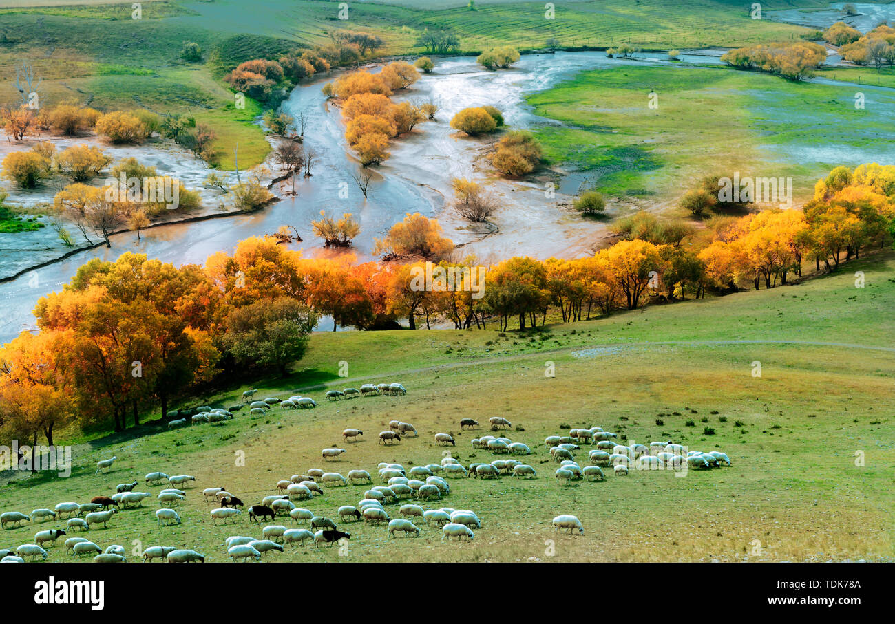 Miss catch hi-res stock photography and images - Alamy