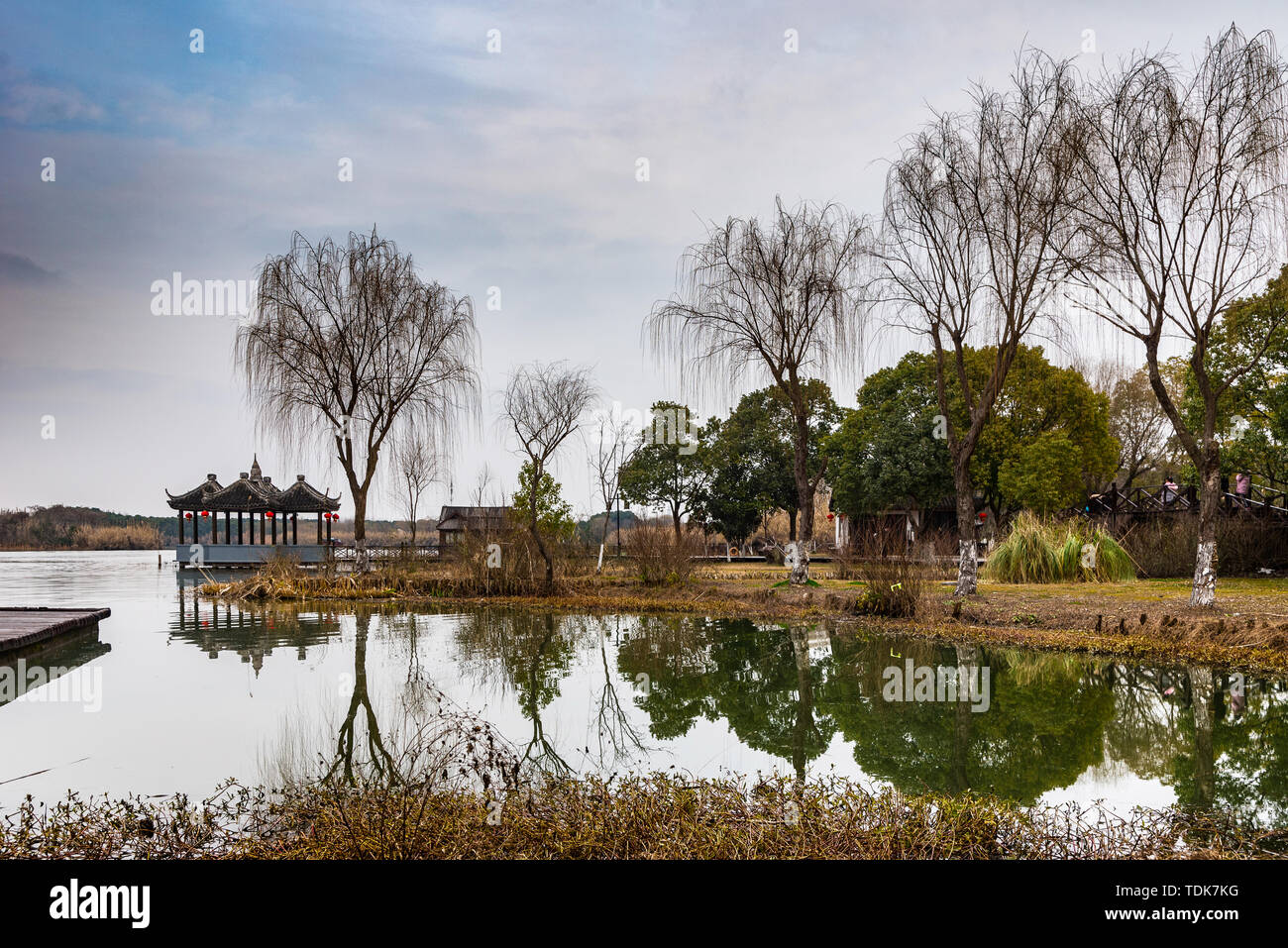 The 2019 Spring Festival was photographed in the Shajiabang Reed Scenic ...