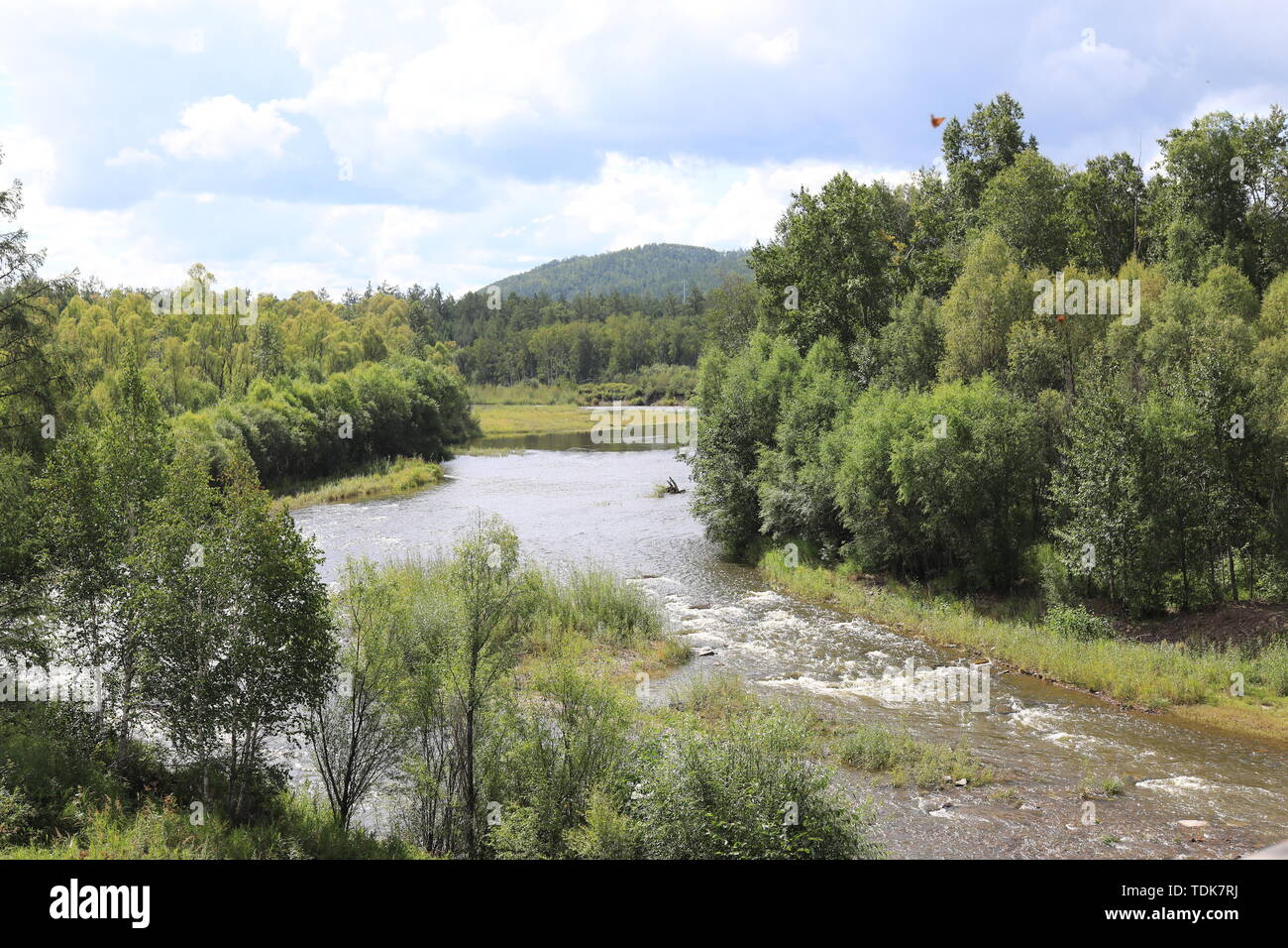 The mordaoga forest park hi-res stock photography and images - Alamy