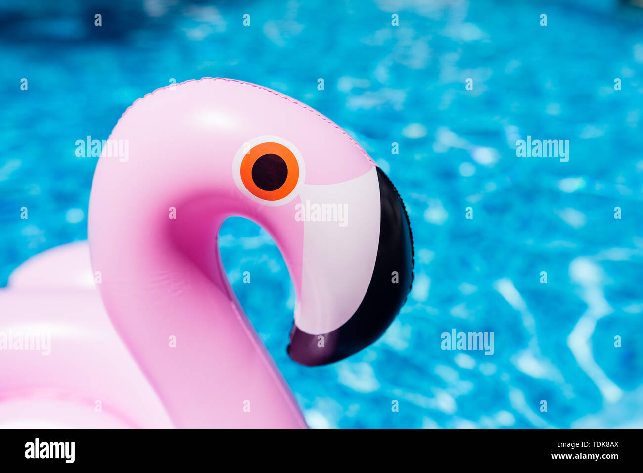 Inflatable pink flamingo at the swim pool. Summer time in the swimming ...