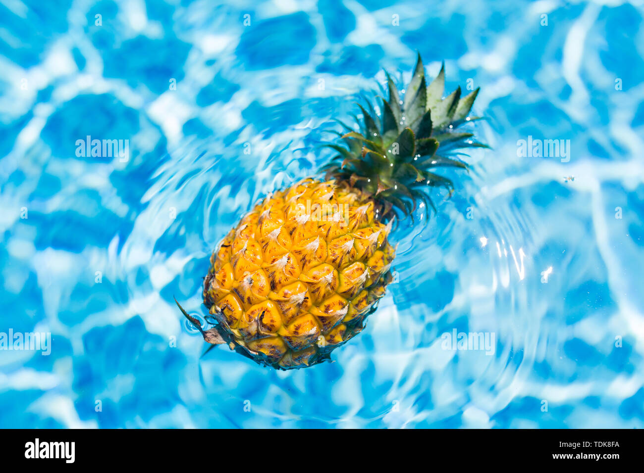 Summer vacation concept, fresh pineapple swims in swimming pool at the ...