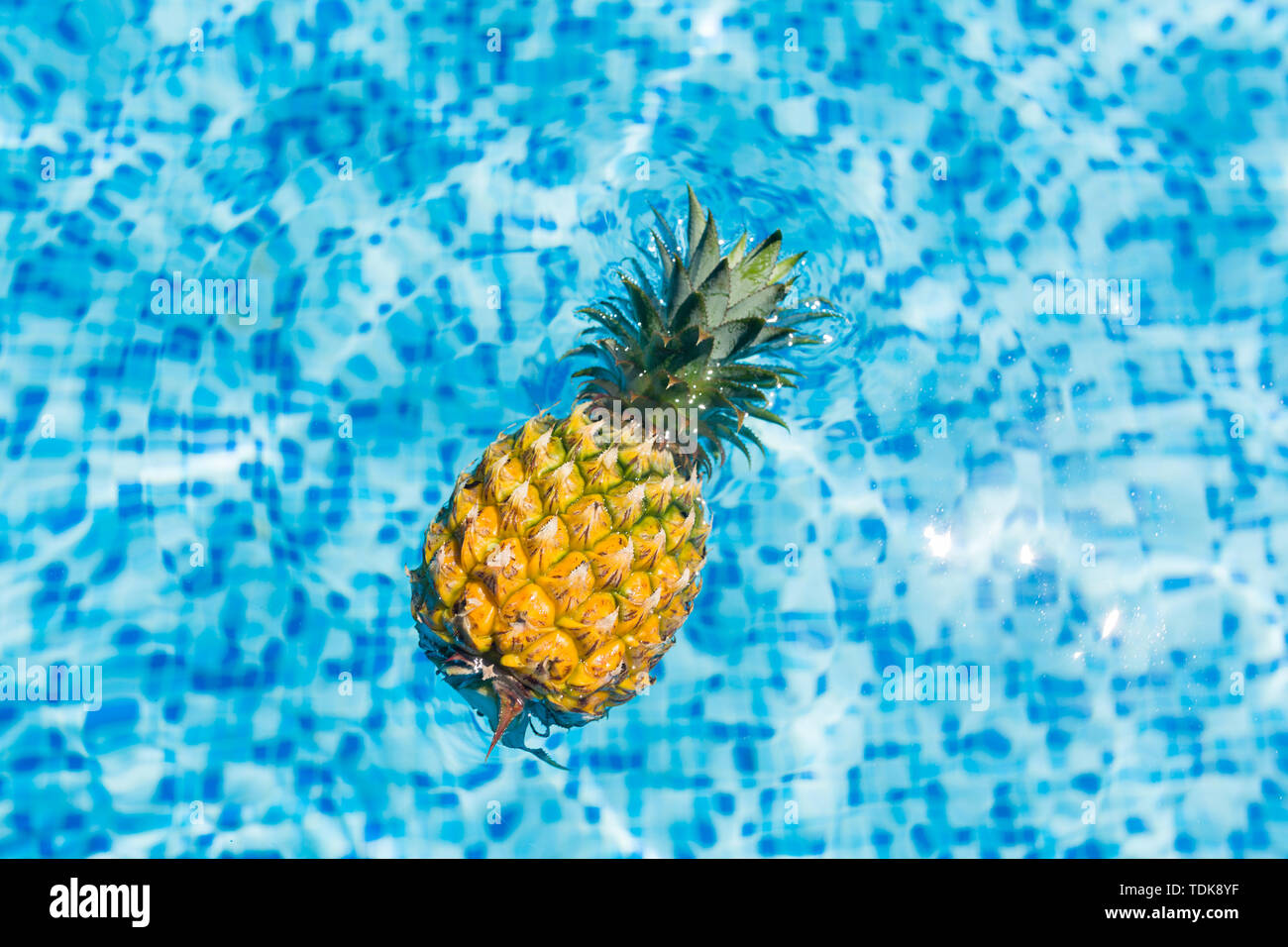 Summer vacation concept, fresh pineapple swims in swimming pool at the ...