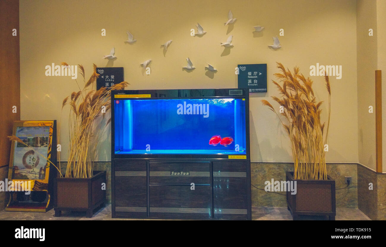 Resort hotel material Stock Photo - Alamy