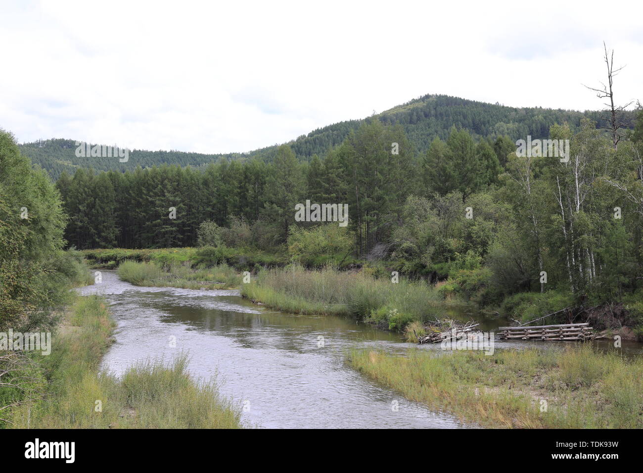 The mordaoga forest park hi-res stock photography and images - Alamy