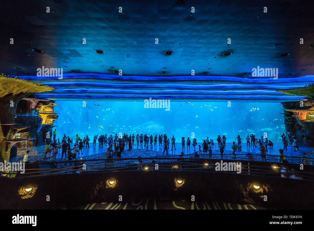 Shark in playground hi-res stock photography and images - Alamy