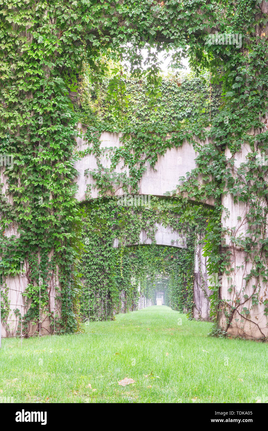 Green belt at the bottom of Chengdu Second Ring Viaduct Bridge Stock ...
