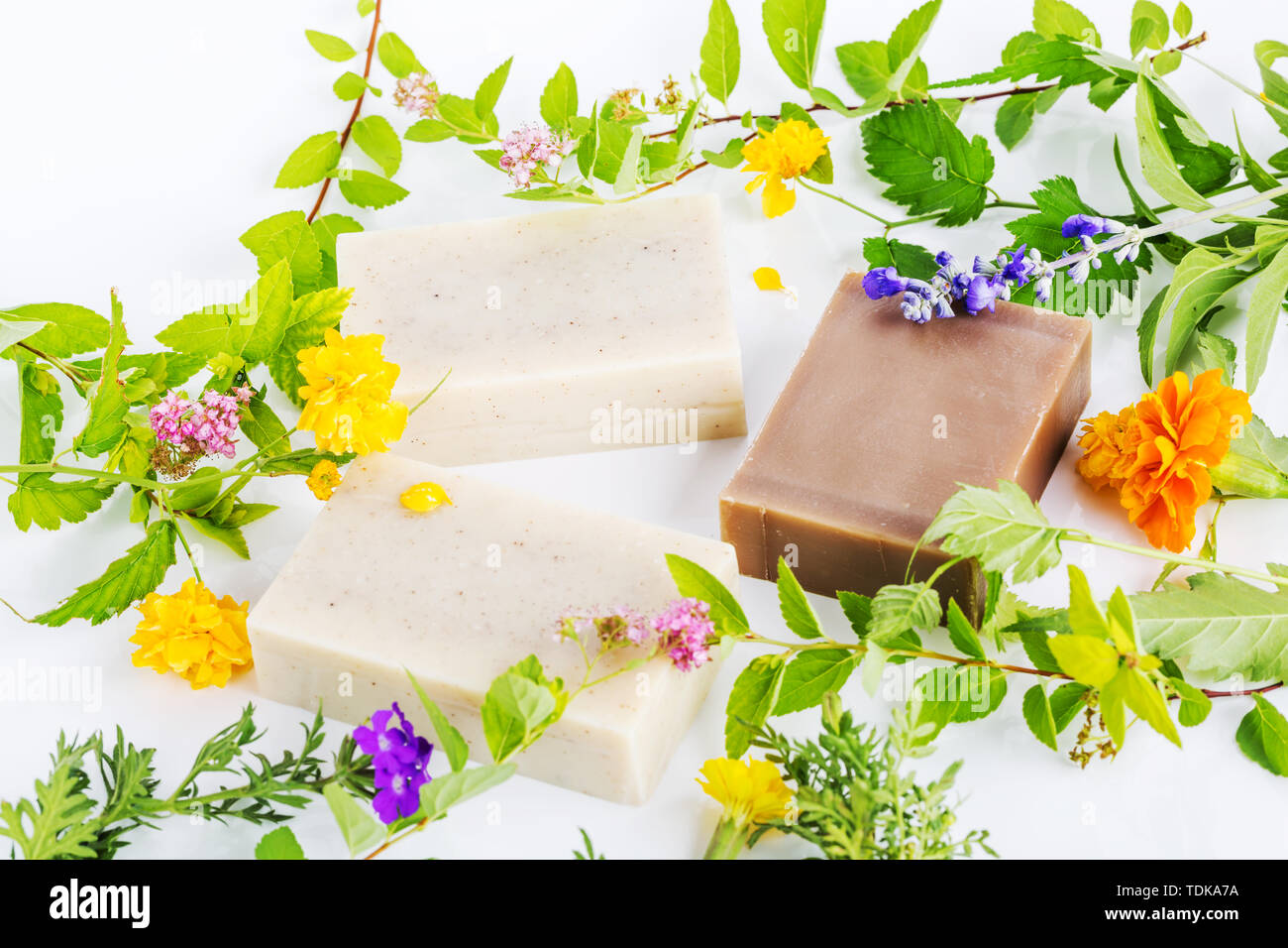 Handmade soap and fresh plants, natural essence Stock Photo - Alamy