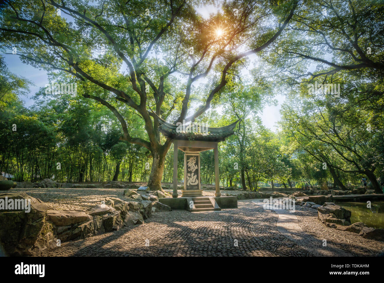 Humanities calligraphy and art hi-res stock photography and images - Alamy