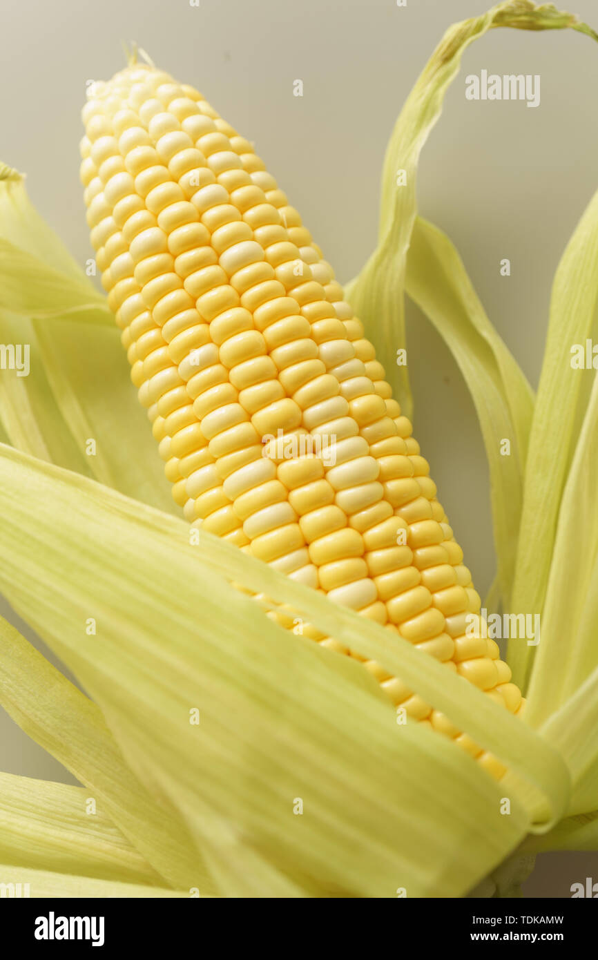 Tender corn hi-res stock photography and images - Alamy