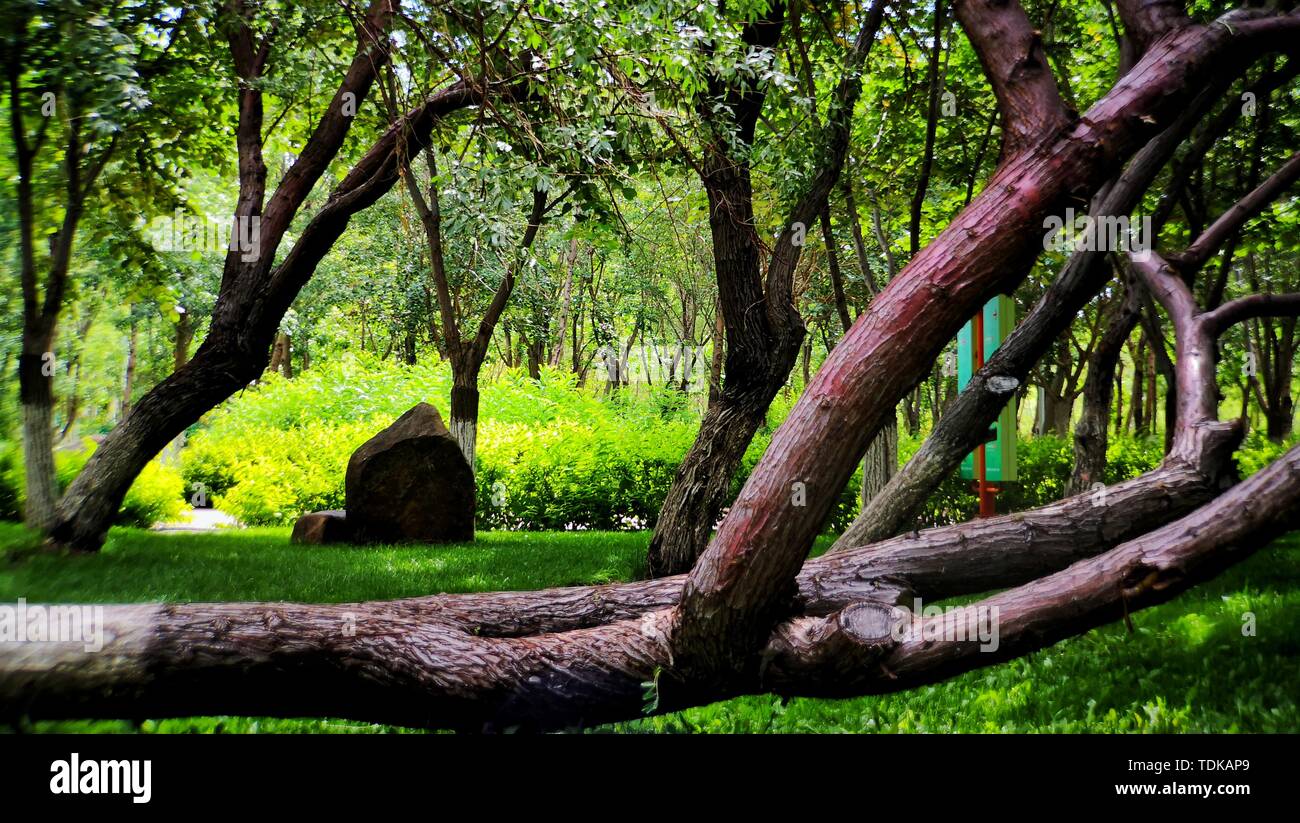 Landscape of the Karamay Stock Photo - Alamy