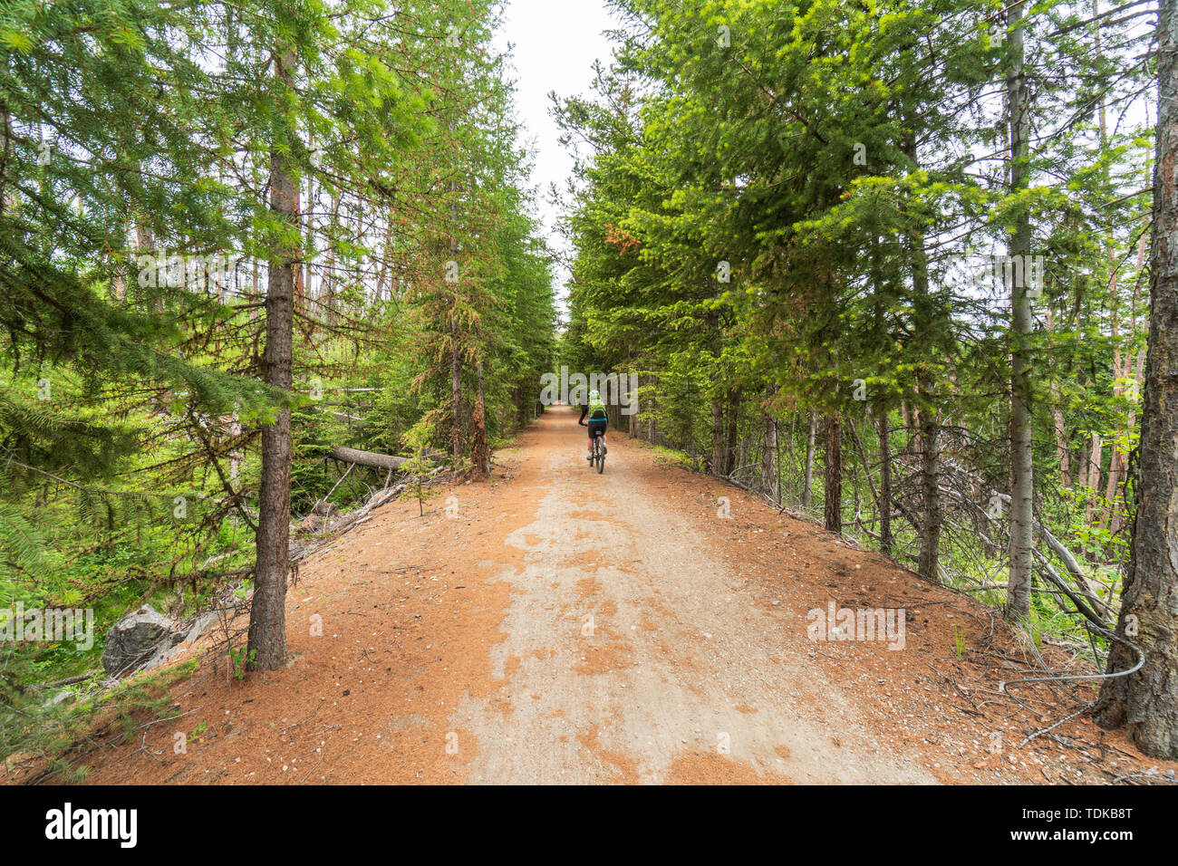 Couple bicycling in one of the tunnels of the Kettle Valley Railway ...