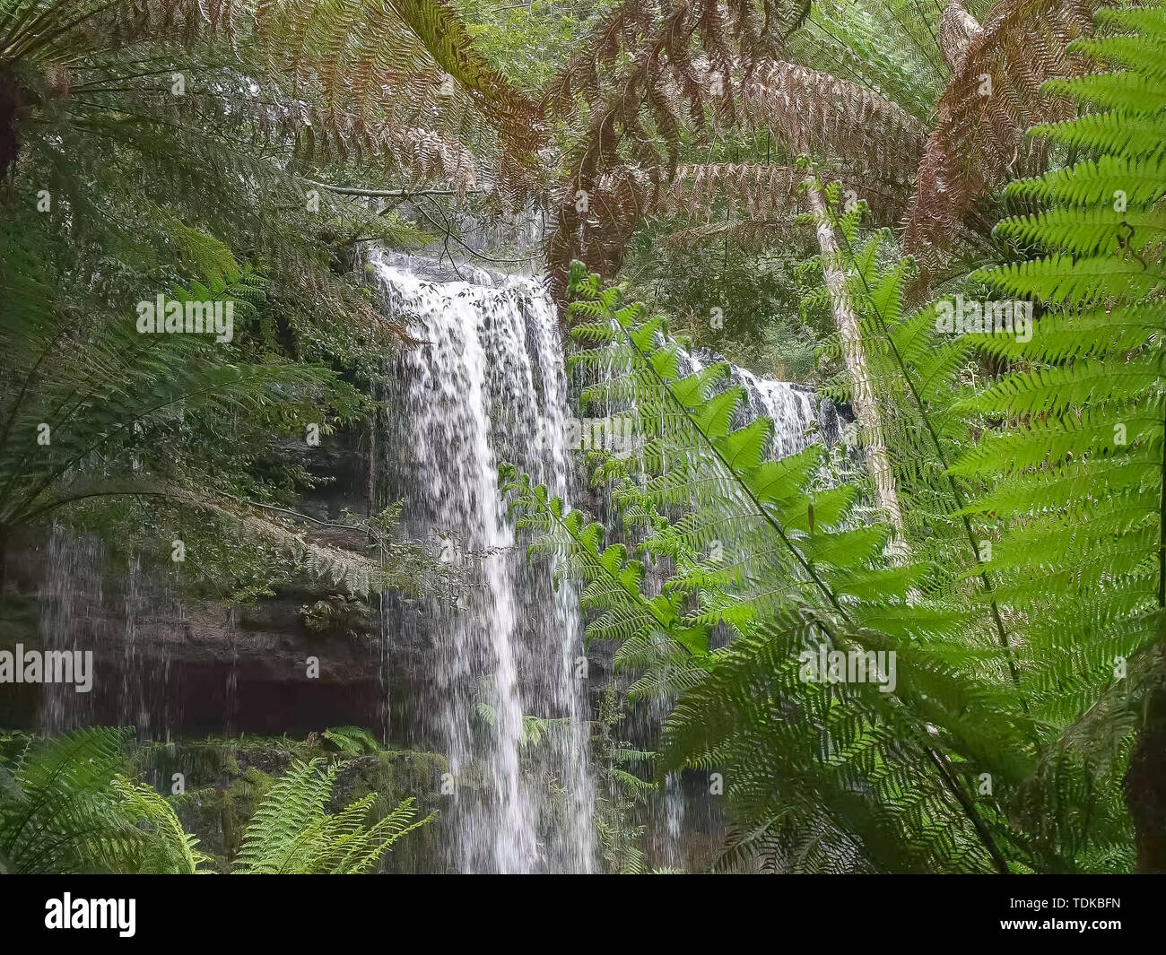 Russell falls, tasmania hi-res stock photography and images - Alamy