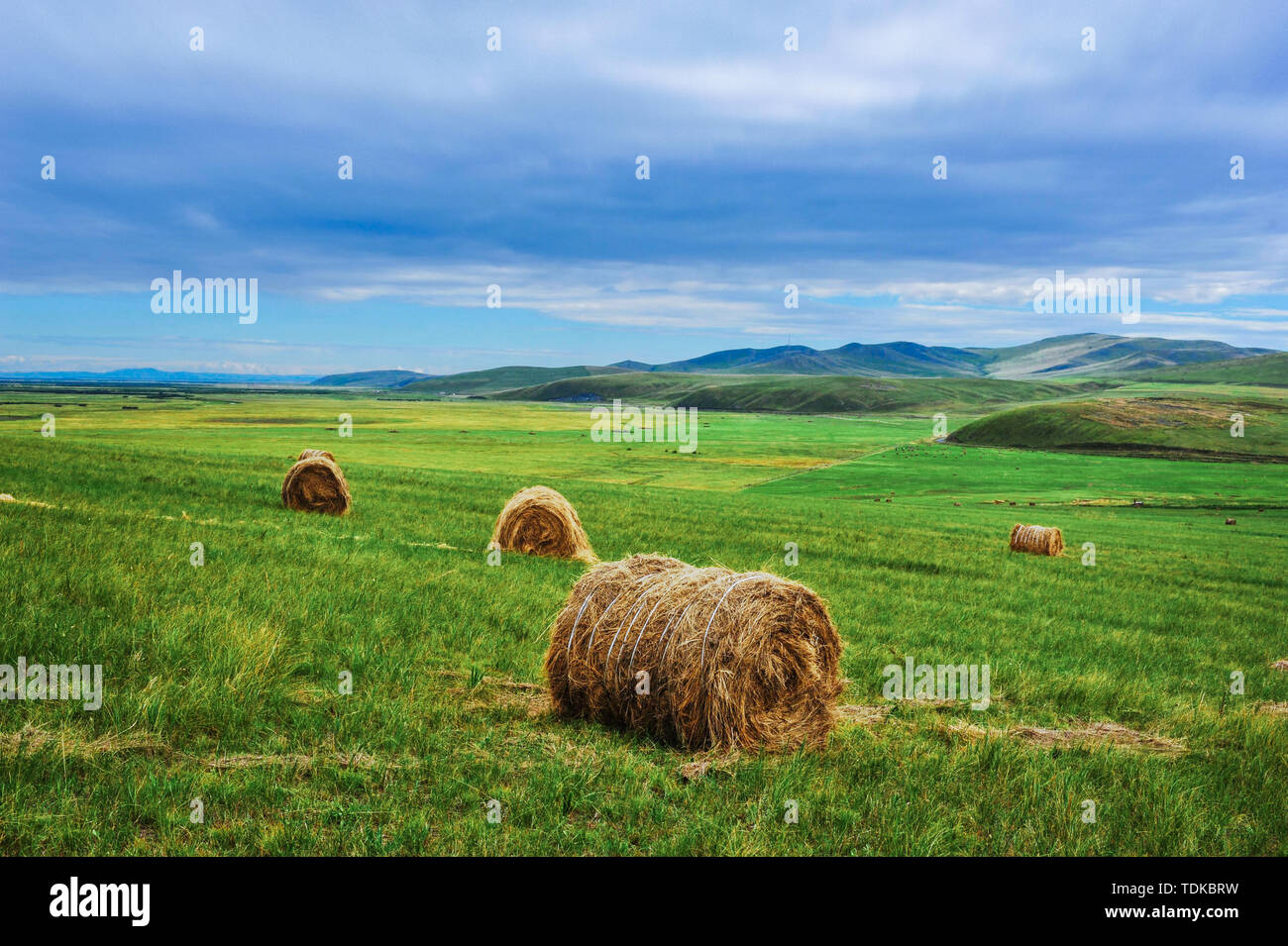 Inner Mongolia Prairie Stock Photo - Alamy