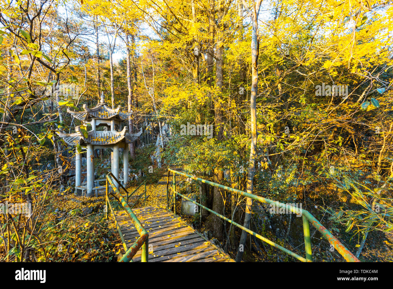 Pathway in the downhill Stock Photo - Alamy