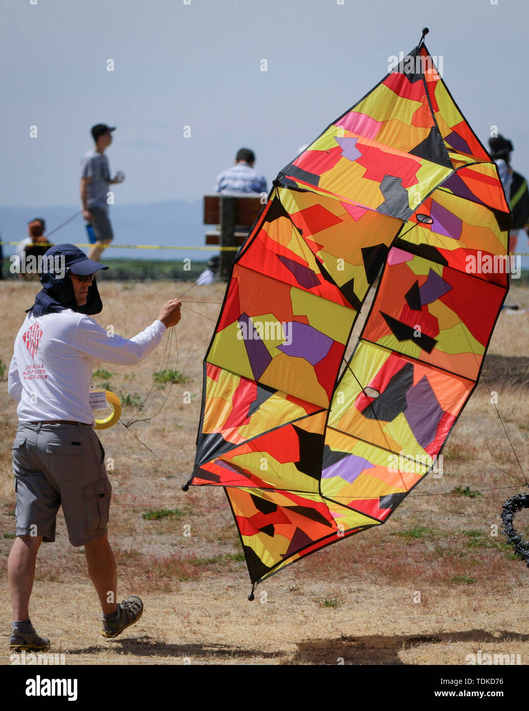 Professional kite flyers hi-res stock photography and images - Alamy