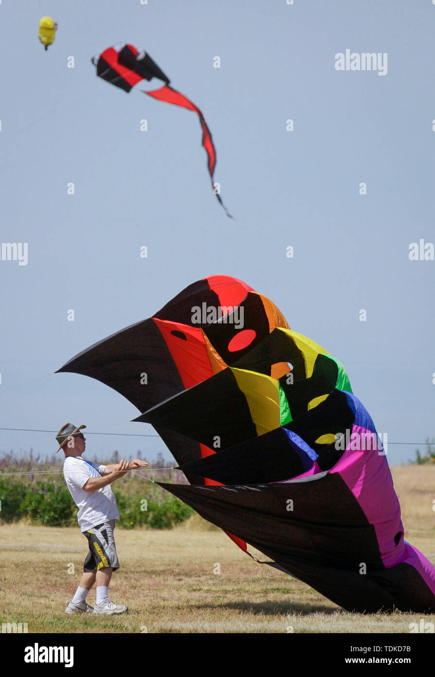 Professional kite flyers hi-res stock photography and images - Alamy