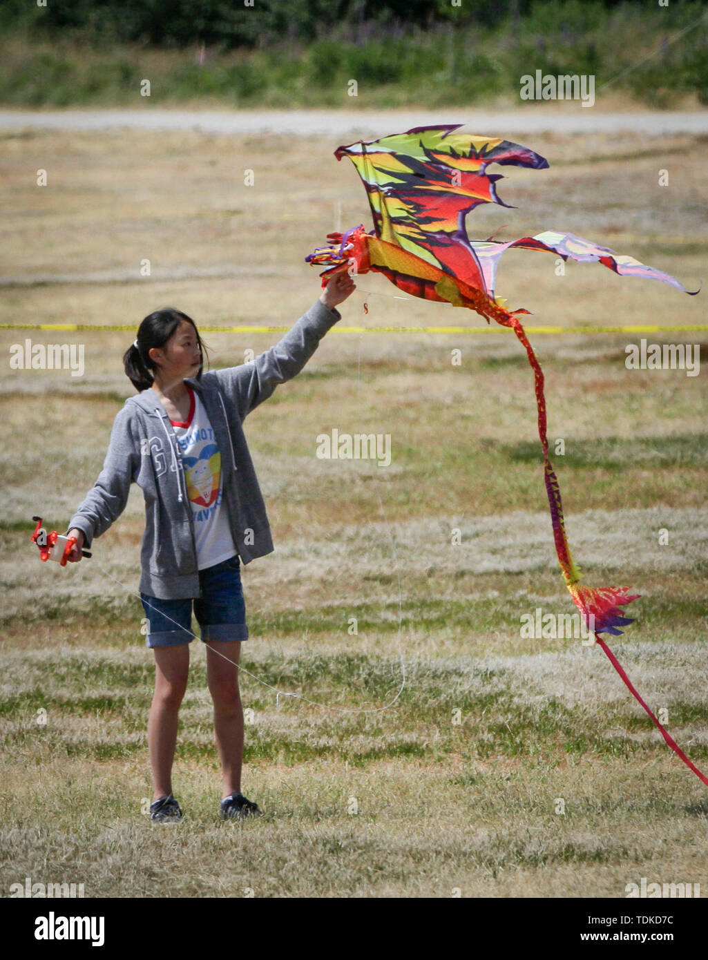 Professional kite flyers hi-res stock photography and images - Alamy
