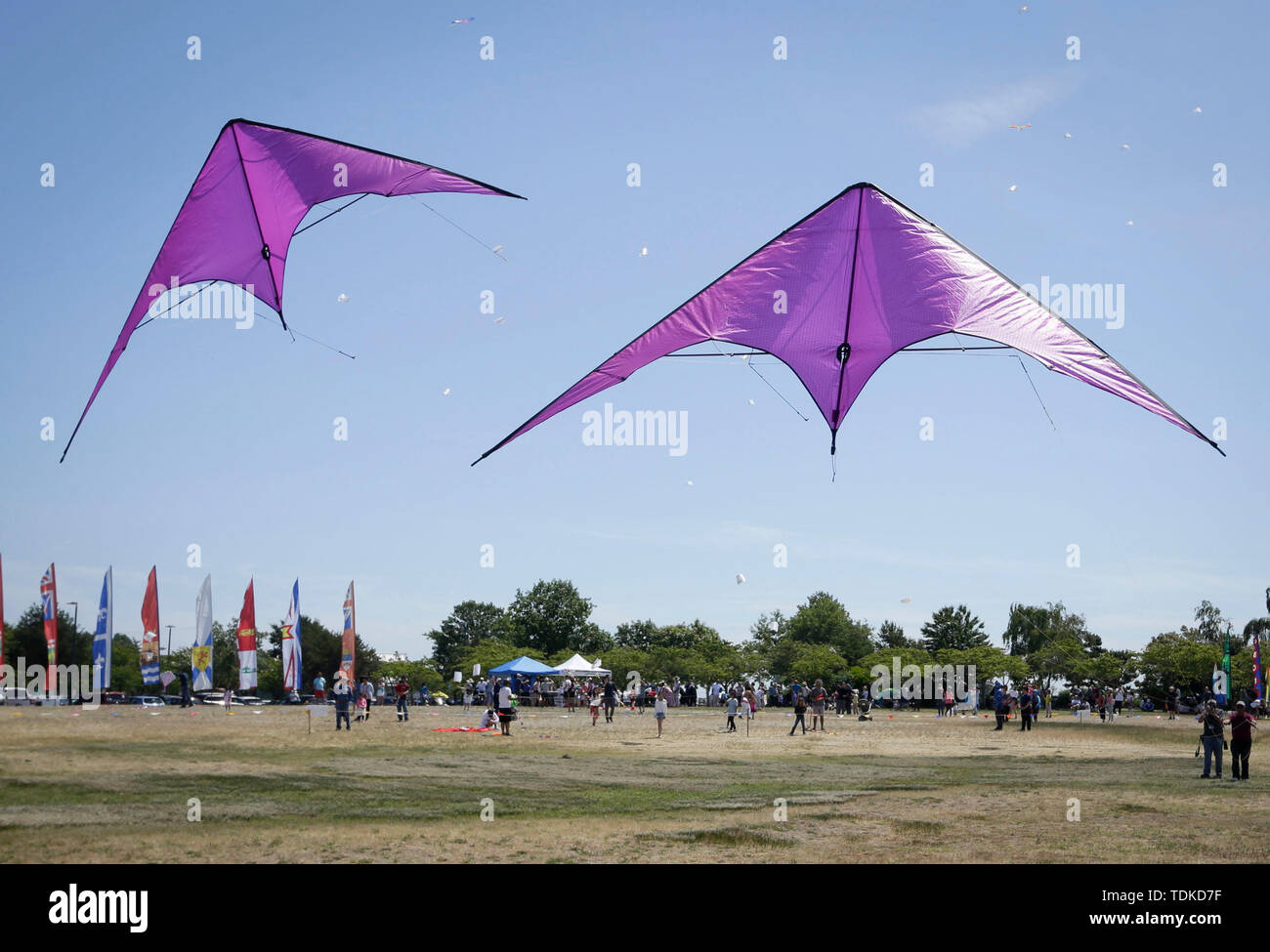 Professional kite flyers hi-res stock photography and images - Alamy