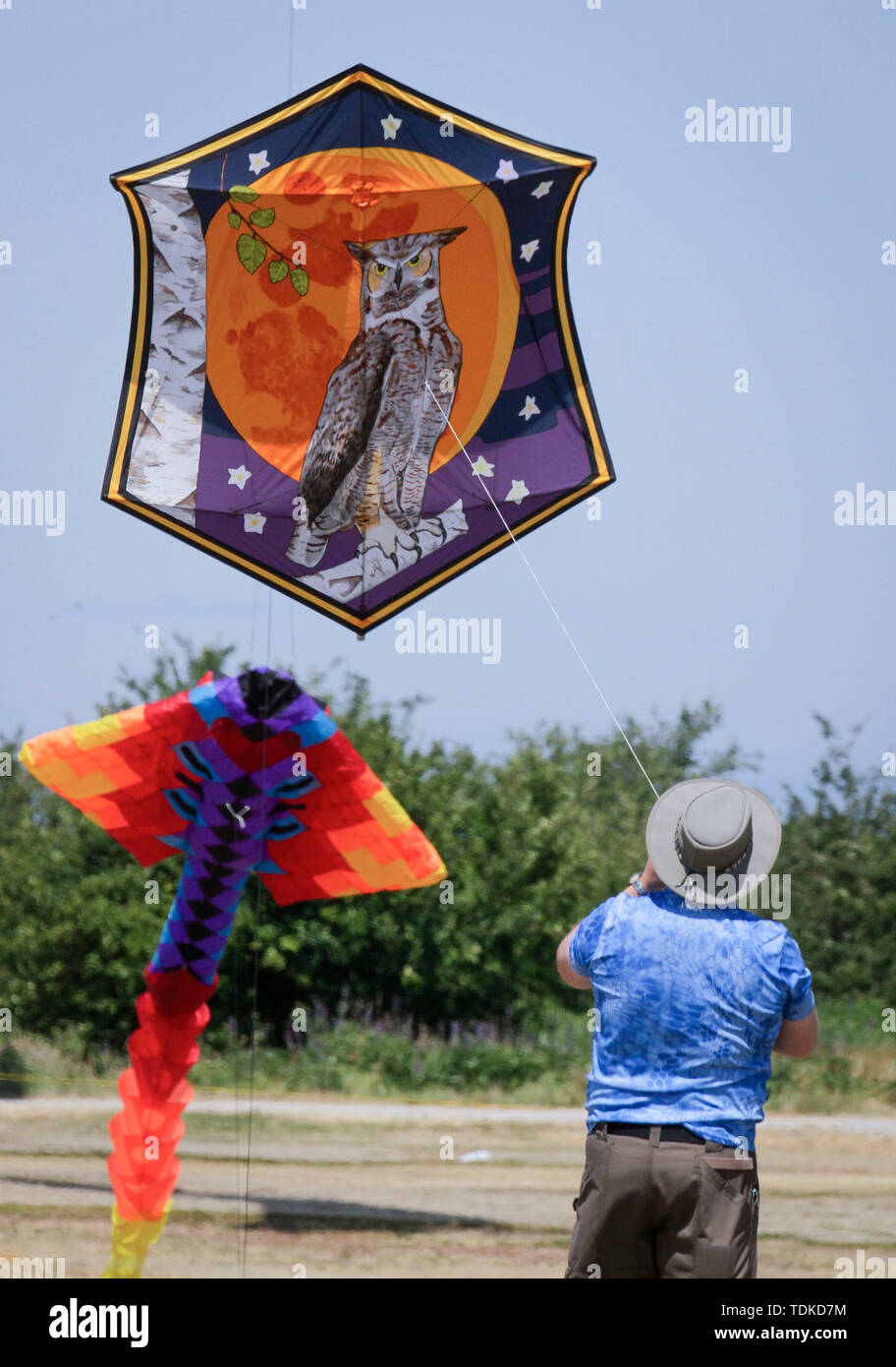 Professional kite flyers hi-res stock photography and images - Alamy