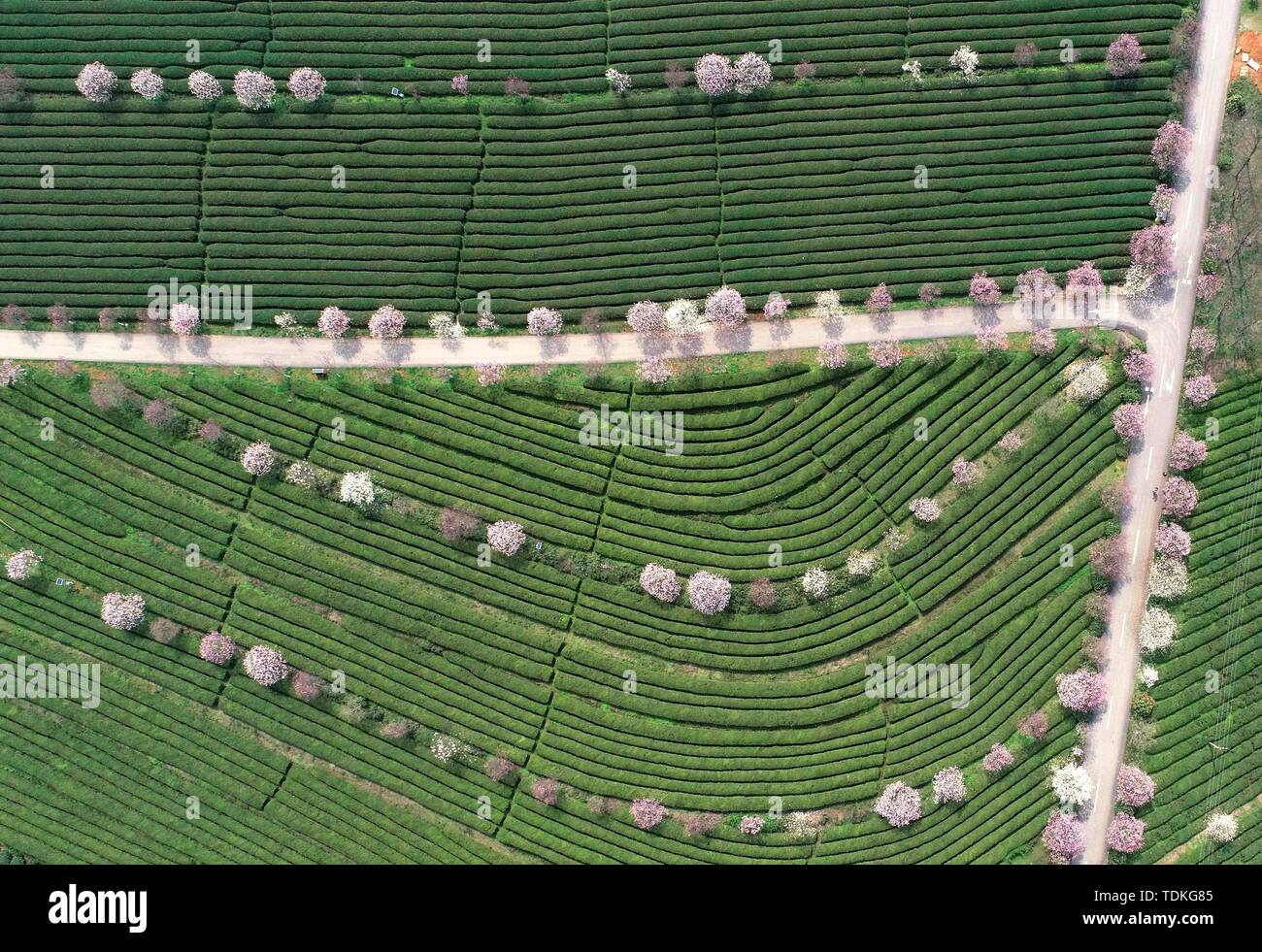 (190617) -- BEIJING, June 17, 2019 (Xinhua) -- Aerial photo taken on ...