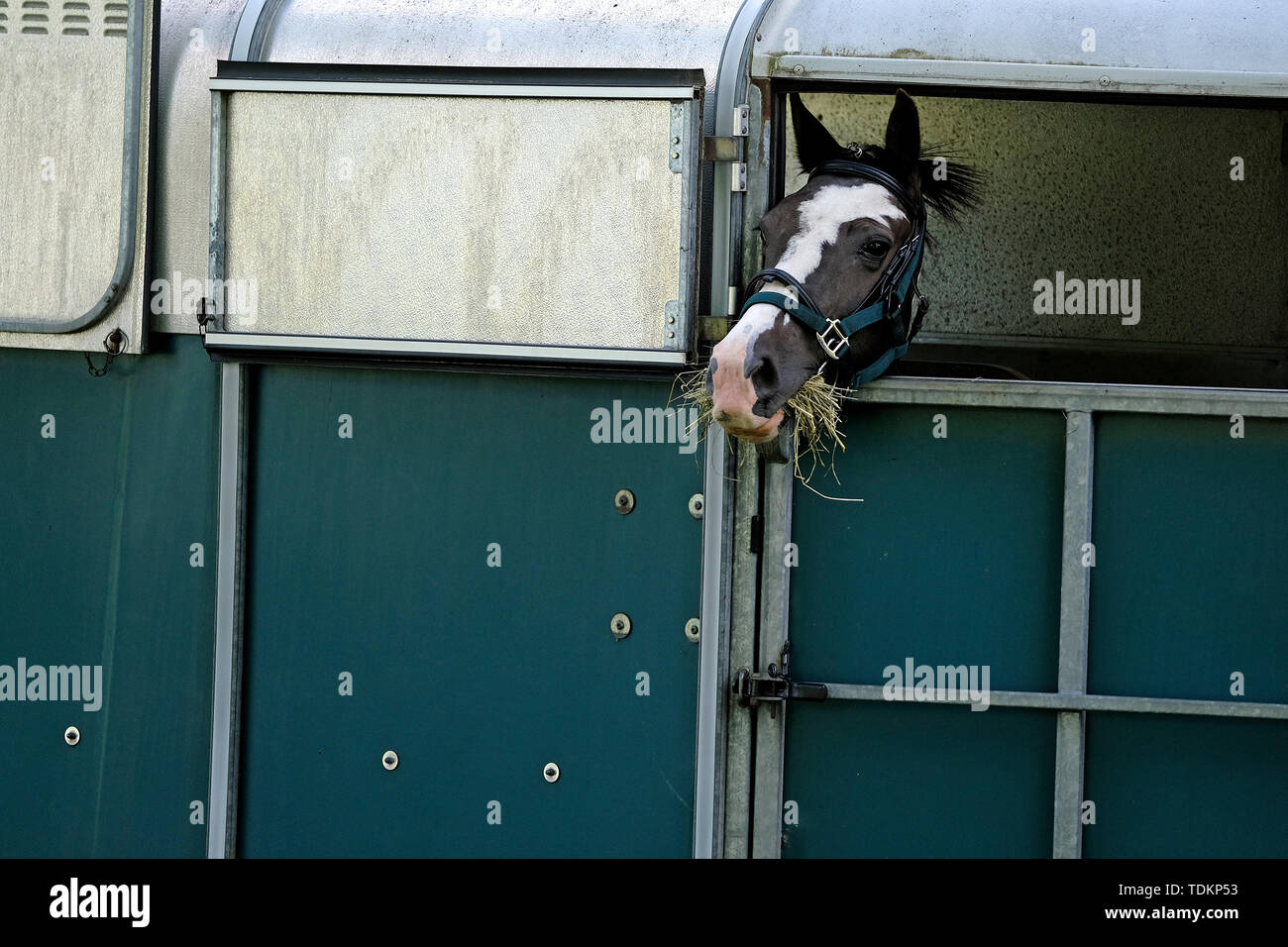 Melrose festival common riding hi-res stock photography and images - Alamy