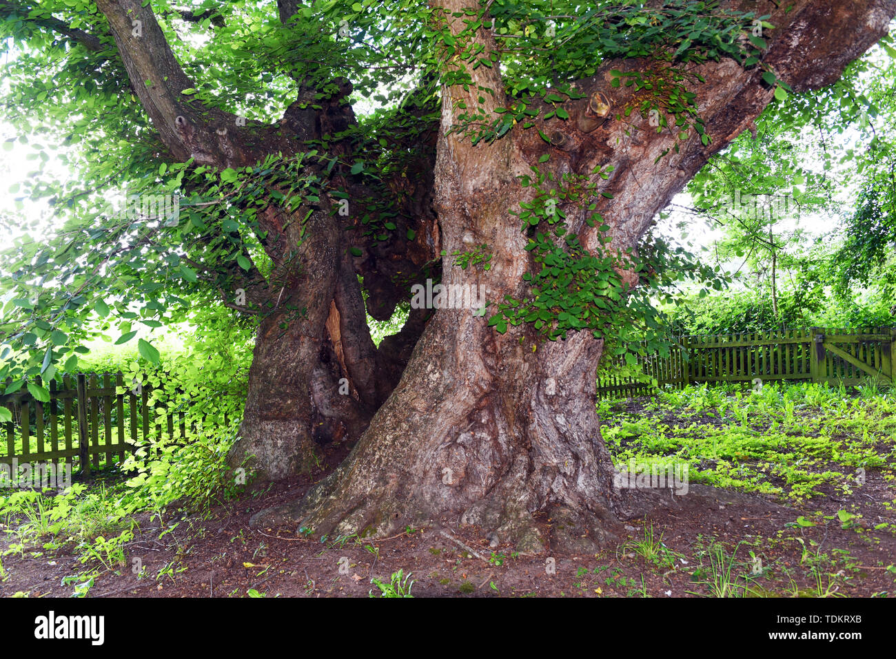 Angermund hi-res stock photography and images - Alamy