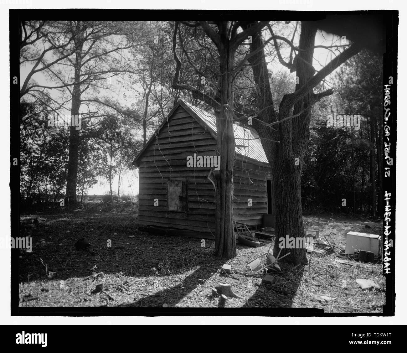 Oblique of north elevation of Free Cabin, facing southeast. - Free ...