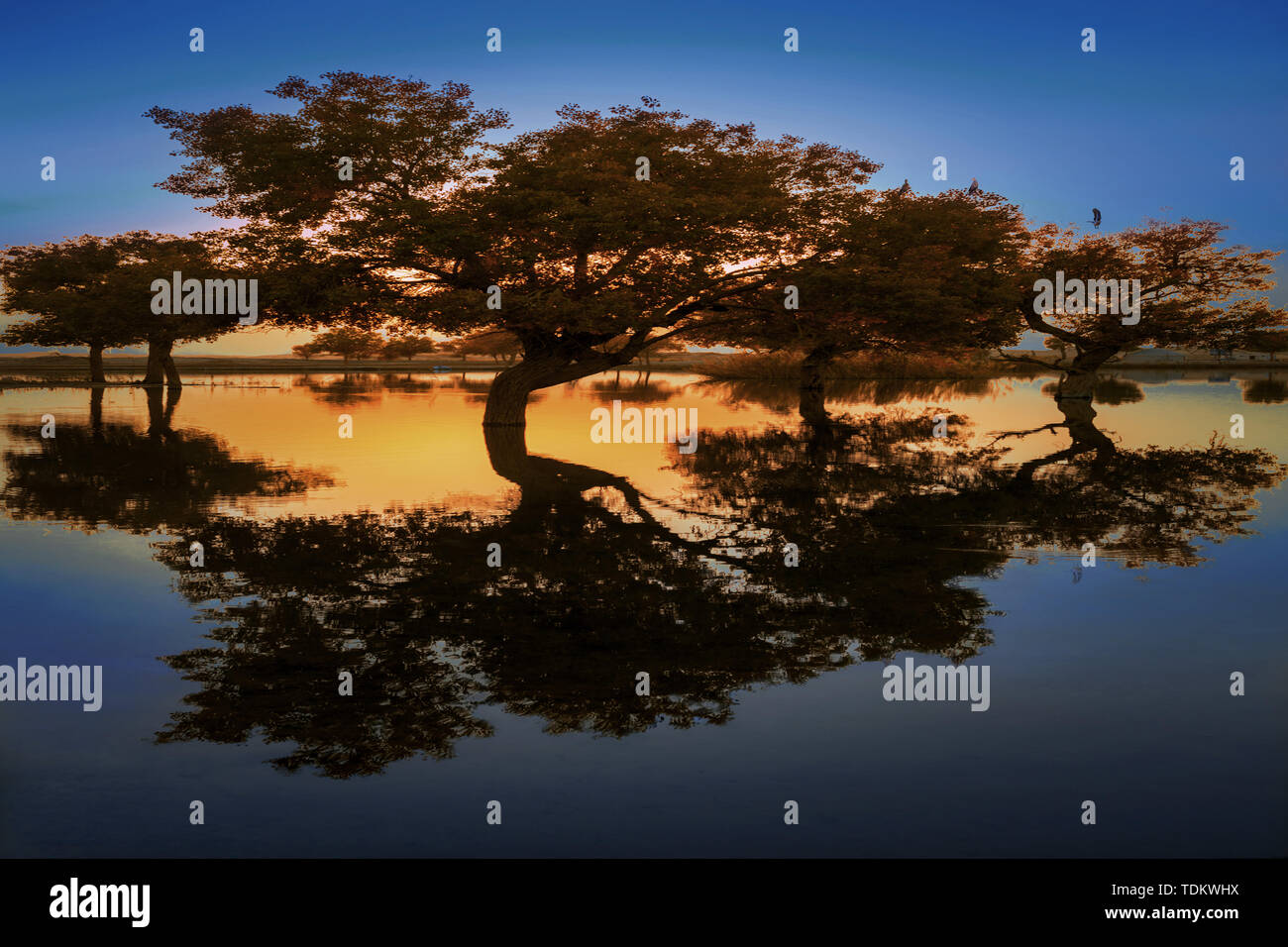 Wearied hi-res stock photography and images - Alamy