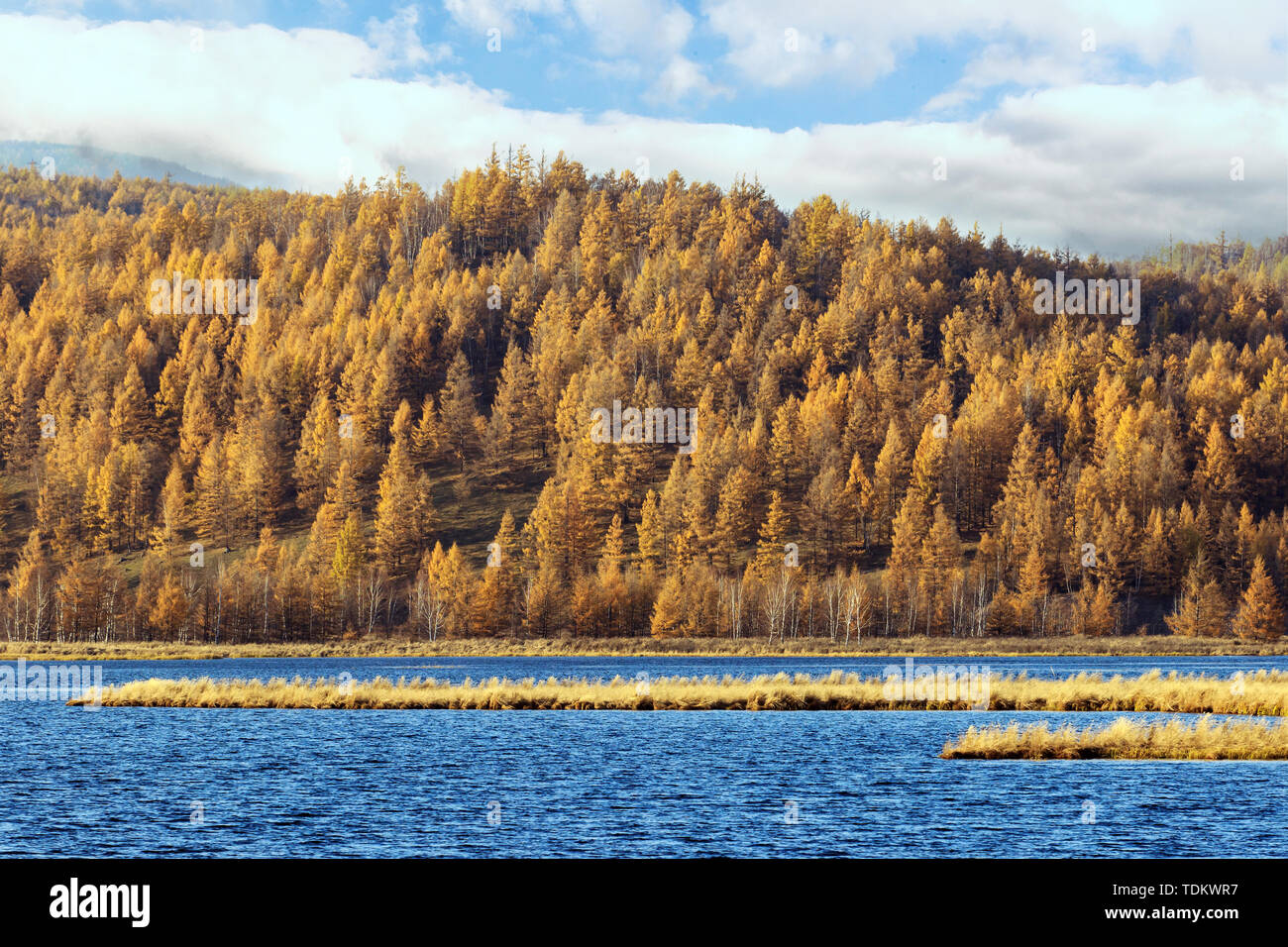Fall scenery of azalea lake Stock Photo - Alamy