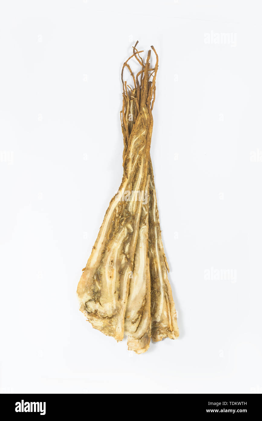 Angelica on white background Stock Photo - Alamy