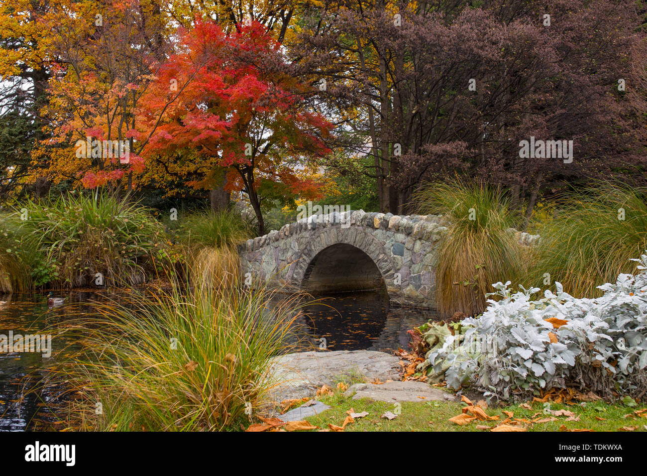 New Zealand scenery blockbuster Stock Photo - Alamy