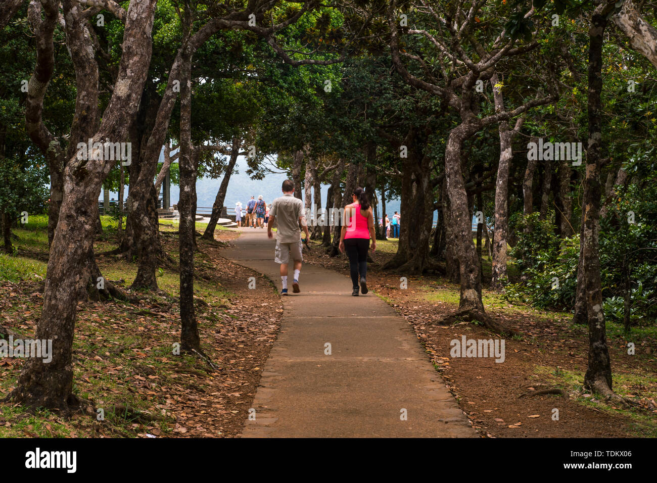 Mauritian customs and customs hi-res stock photography and images - Alamy