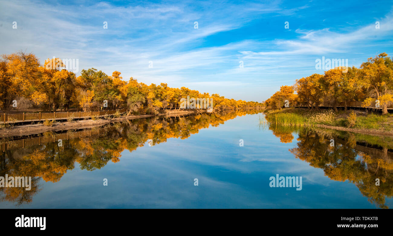 Hu Yang Lin in autumn Stock Photo - Alamy