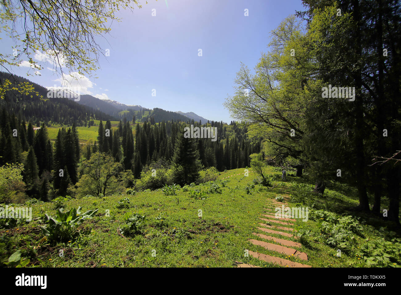 Scenery of Narati Prairie in Yili, Xinjiang Stock Photo - Alamy