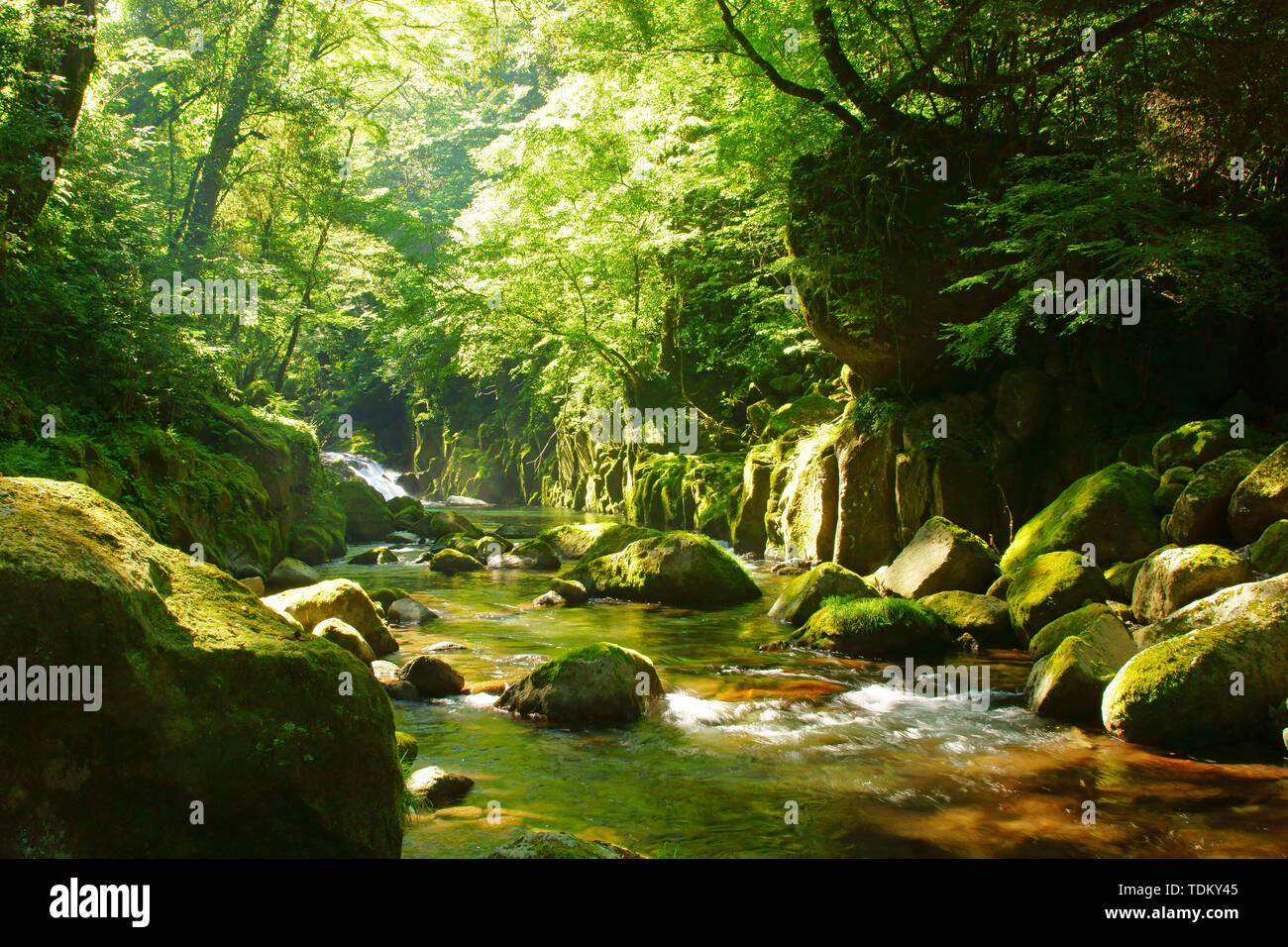 Kikuchi Gorge, Kumamoto Prefecture, Japan Stock Photo - Alamy