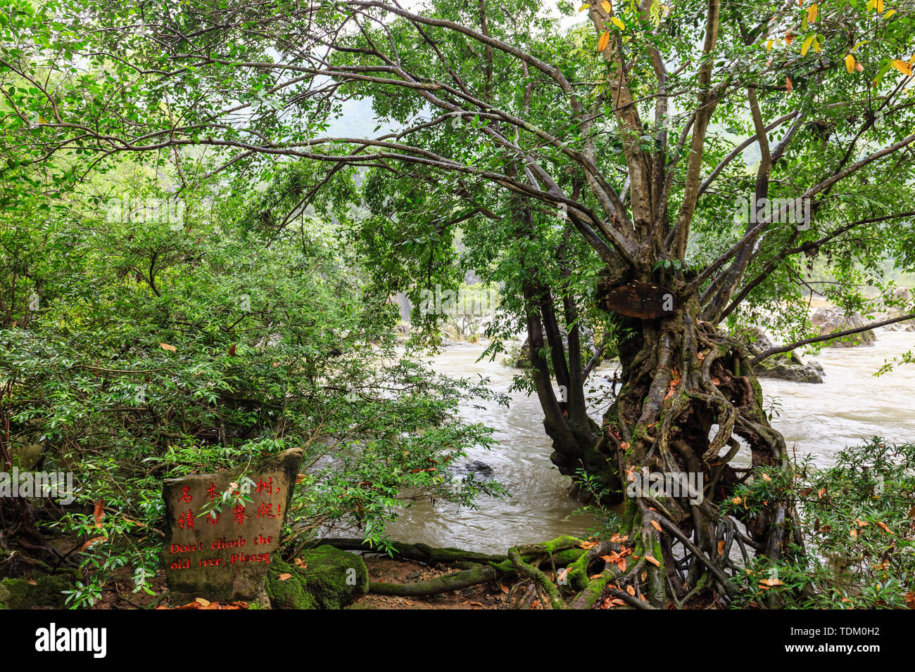 Tianxing lake hi-res stock photography and images - Alamy